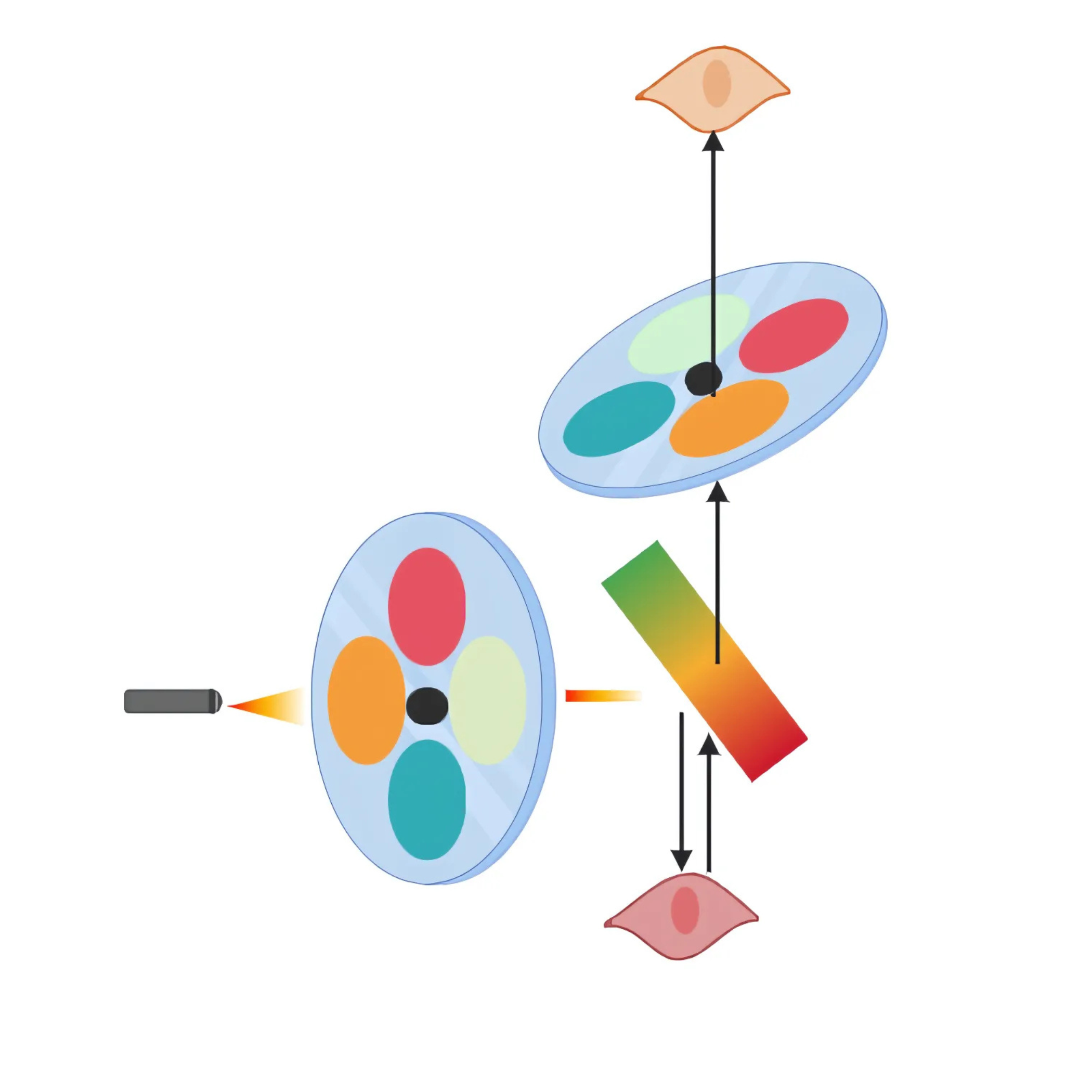 Introduction to Fluorescence Filters: Principles, Selection, and ...