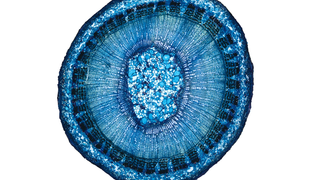 Edmund Optics® 120i Plan APO Infinity Corrected Objectives